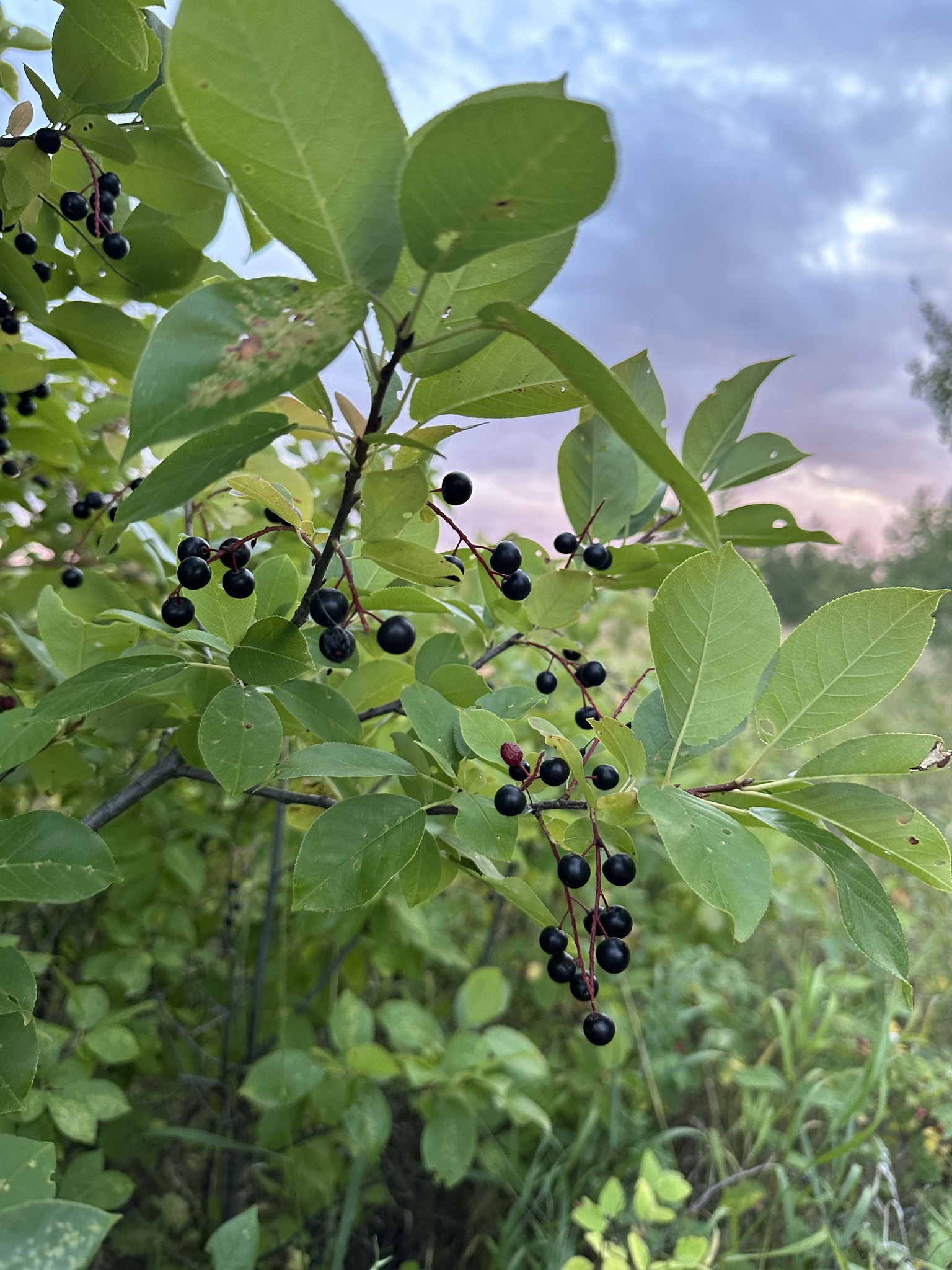 Lake County Soil and Water Conservation District – Lake County, MN